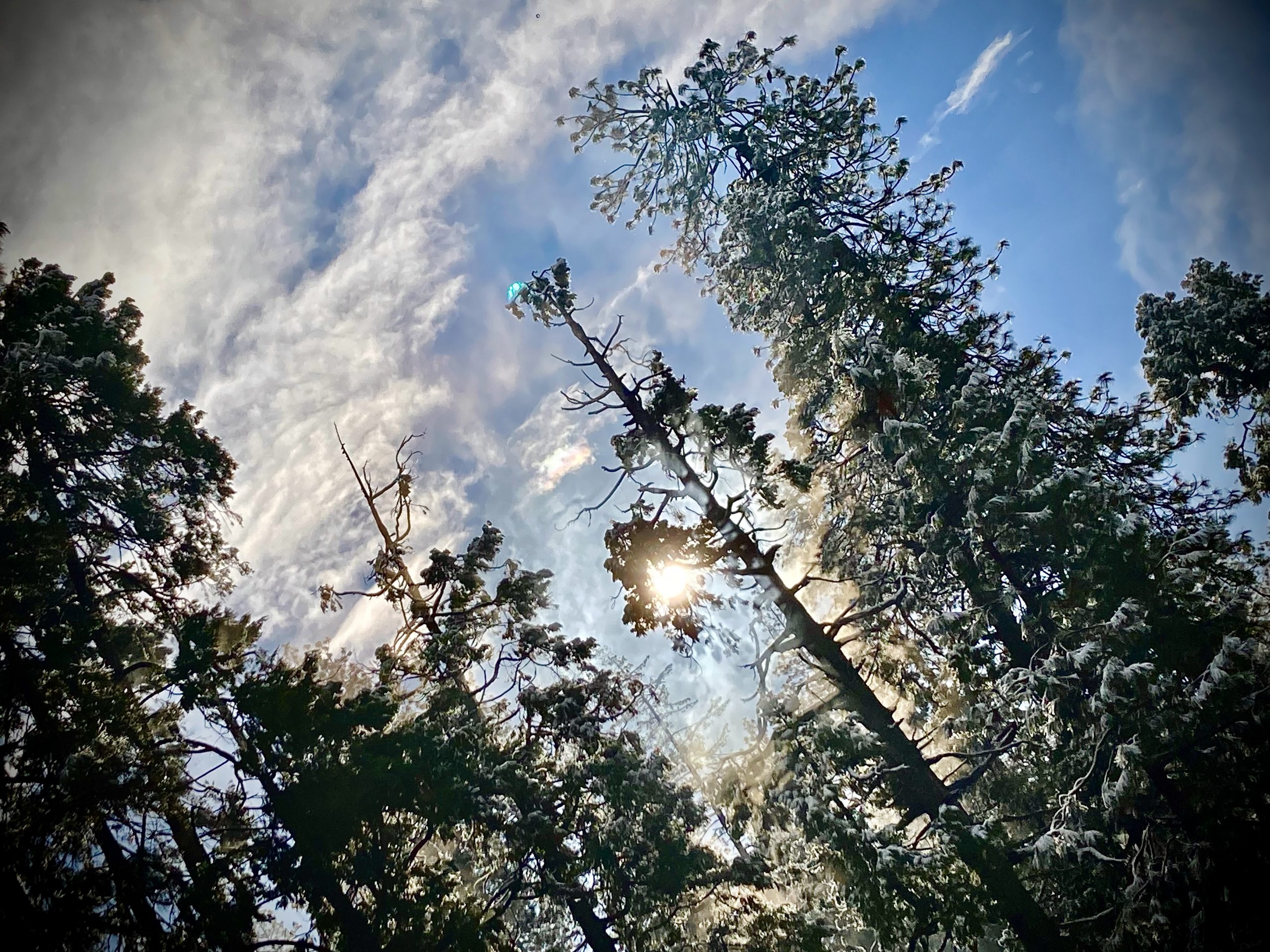 Tuolumne County Digital Photography Contest | Tuolumne County ...