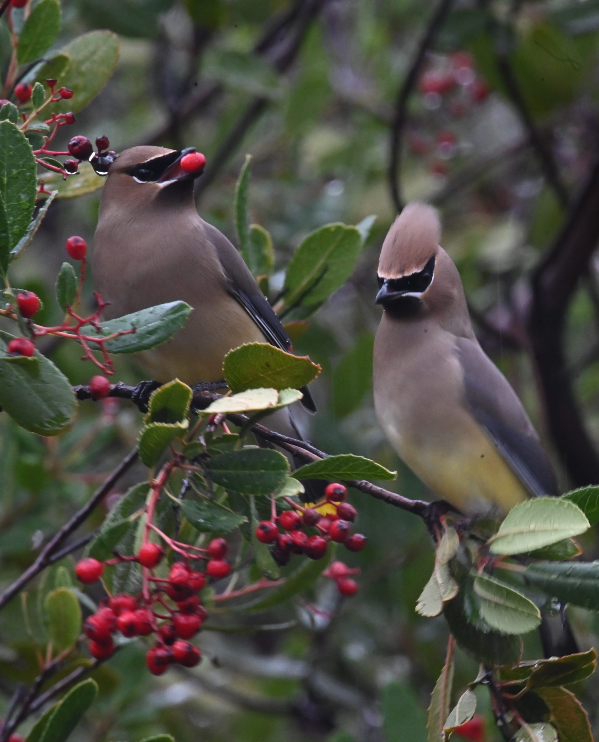 Tuolumne County Digital Photography Contest | Tuolumne County ...